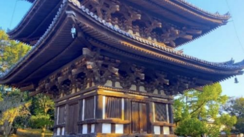 masugumi_01 | オフィスレイアウト神戸 ( 兵庫 | 大阪 | 東京 )