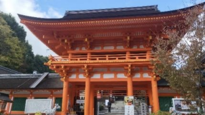 masugumi_02 | オフィスレイアウト神戸 ( 兵庫 | 大阪 | 東京 )